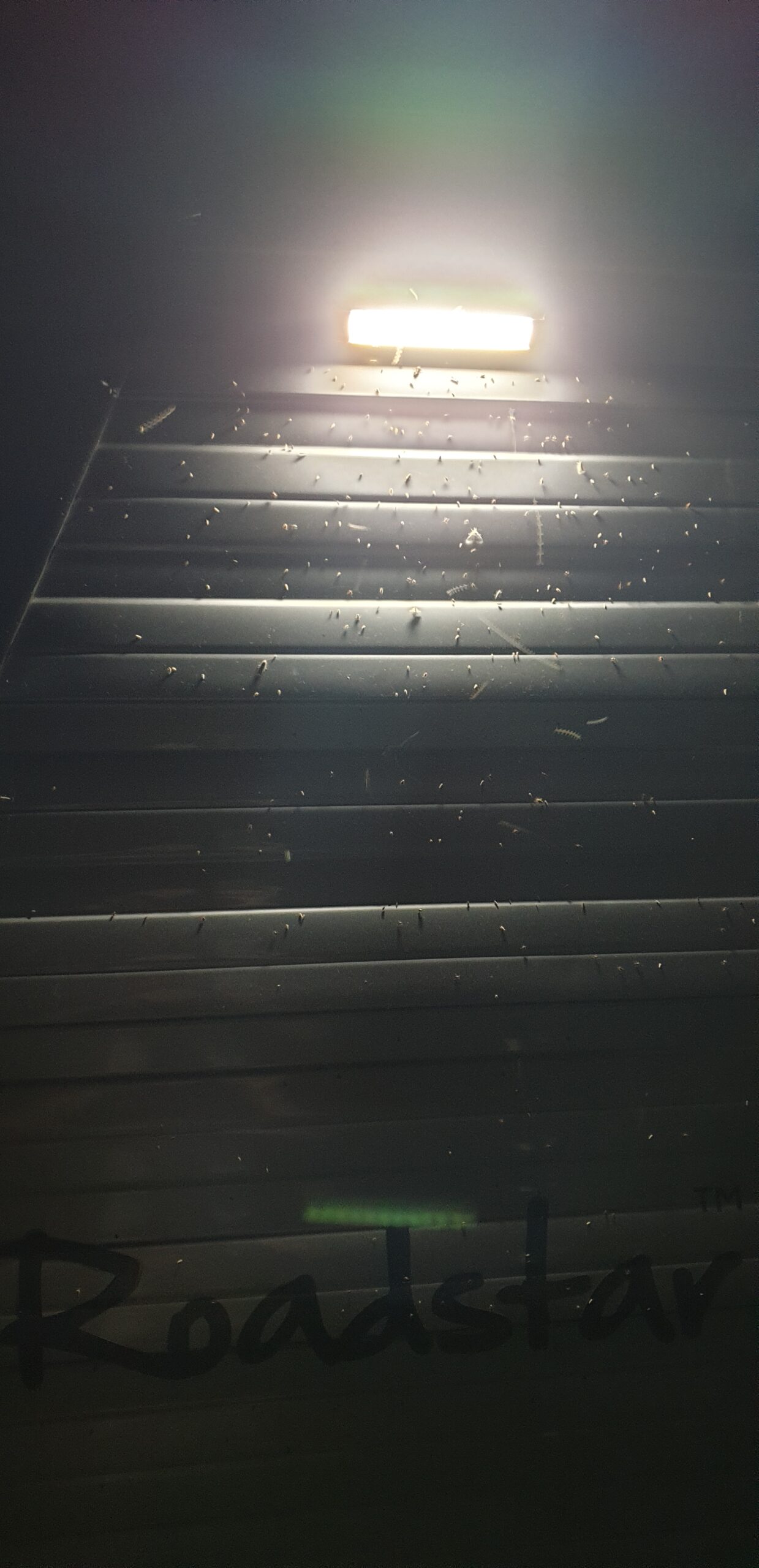 Bugger Off – Our top tips for dealing with biting insects when ...