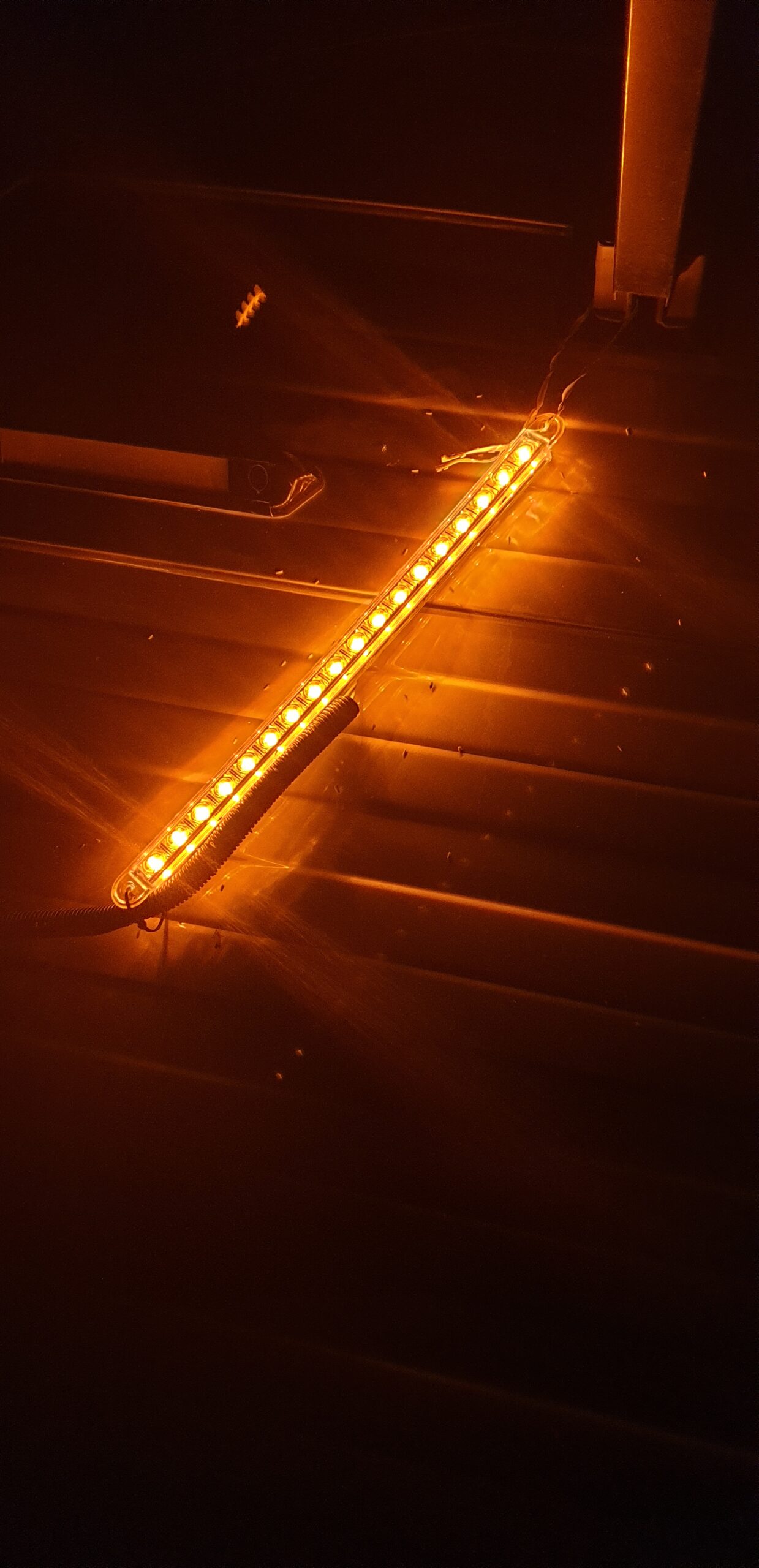 Bugger Off – Our top tips for dealing with biting insects when ...